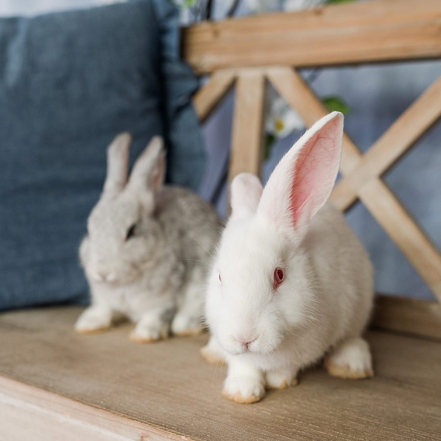 The Wharf | Life happens here