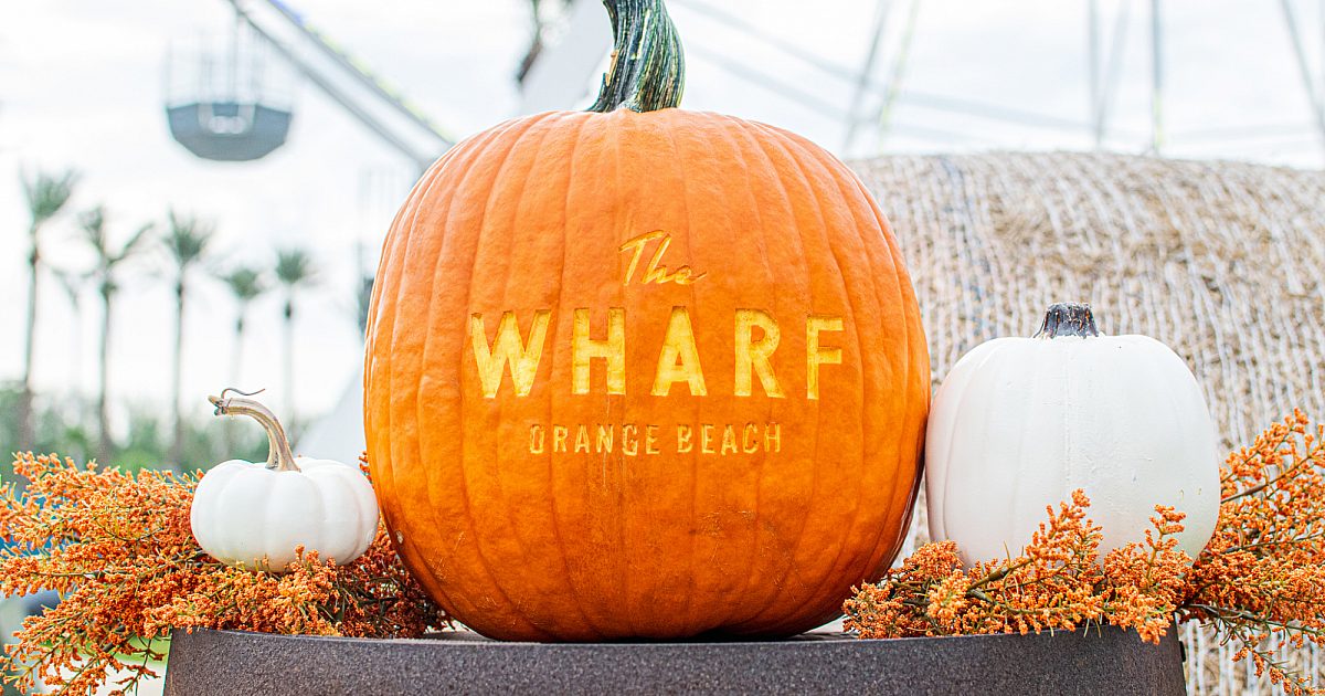 The Wharf | Snap the Season: Fall Photo Guide